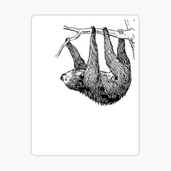 "Hanging Sloth" Sticker by handy182 | Redbubble