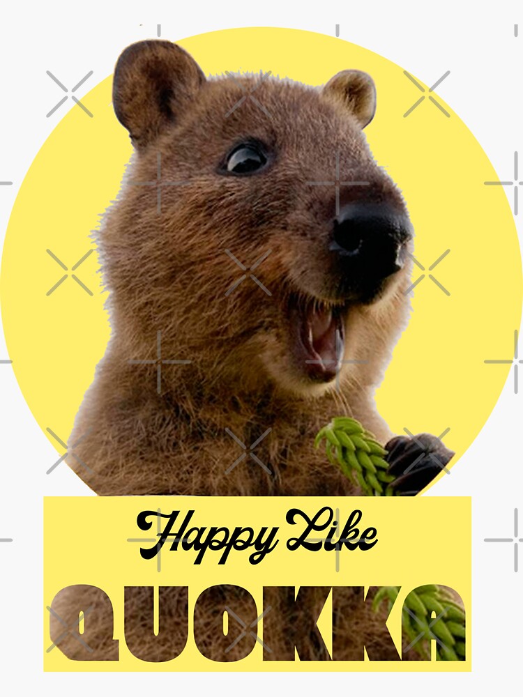 "happy like a quokka" Sticker for Sale by Amory-ahmed | Redbubble