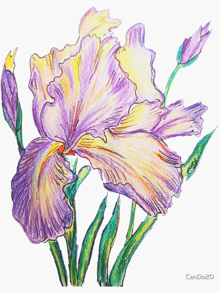 "Purple Iris Flower" Sticker for Sale by CanDo20 | Redbubble