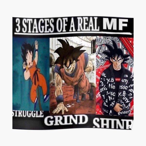 "3 Stages of a Real MF" Poster for Sale by Maranara | Redbubble