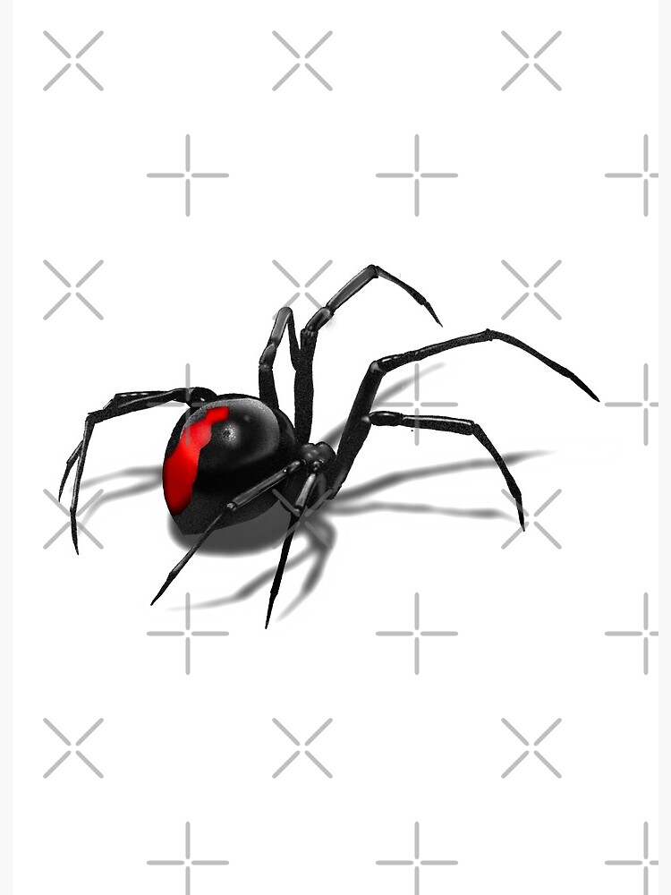 "Redback " Art Board Print for Sale by JaanThompson | Redbubble