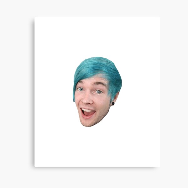 Dantdm Canvas Prints | Redbubble