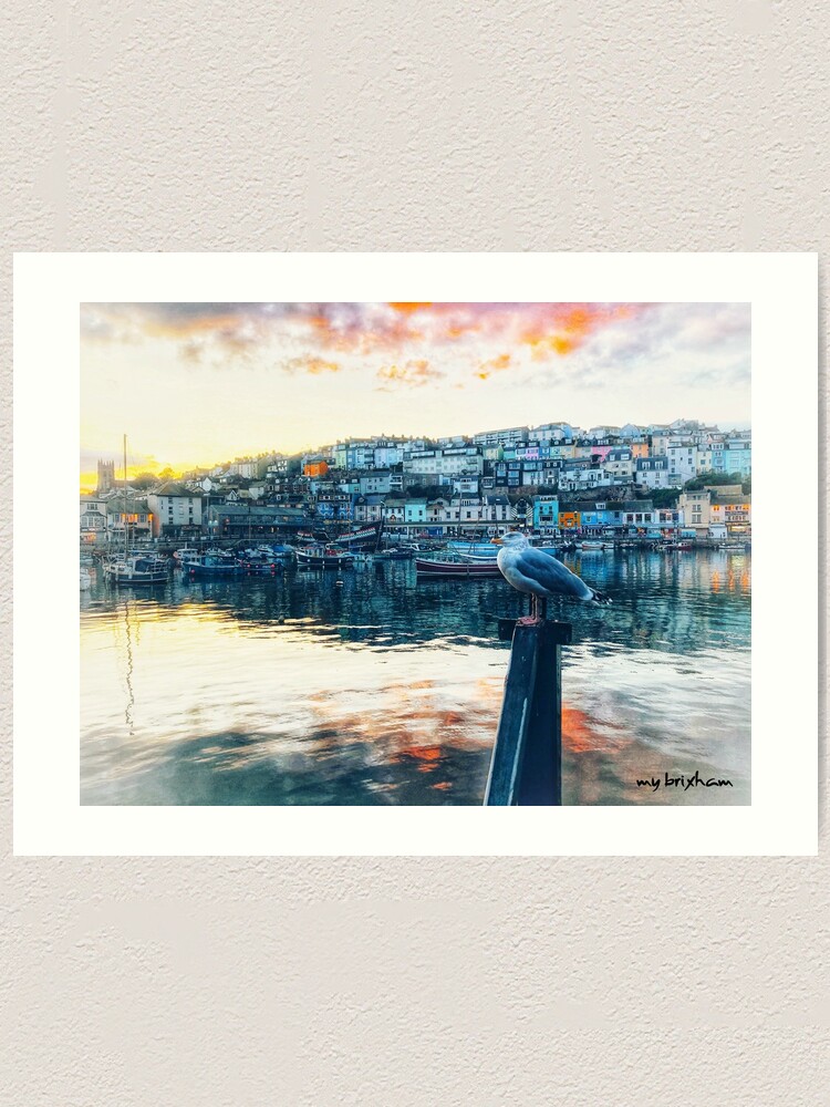 "Brixham Harbour Seagull by My Brixham" Art Print for Sale by mybrixham ...