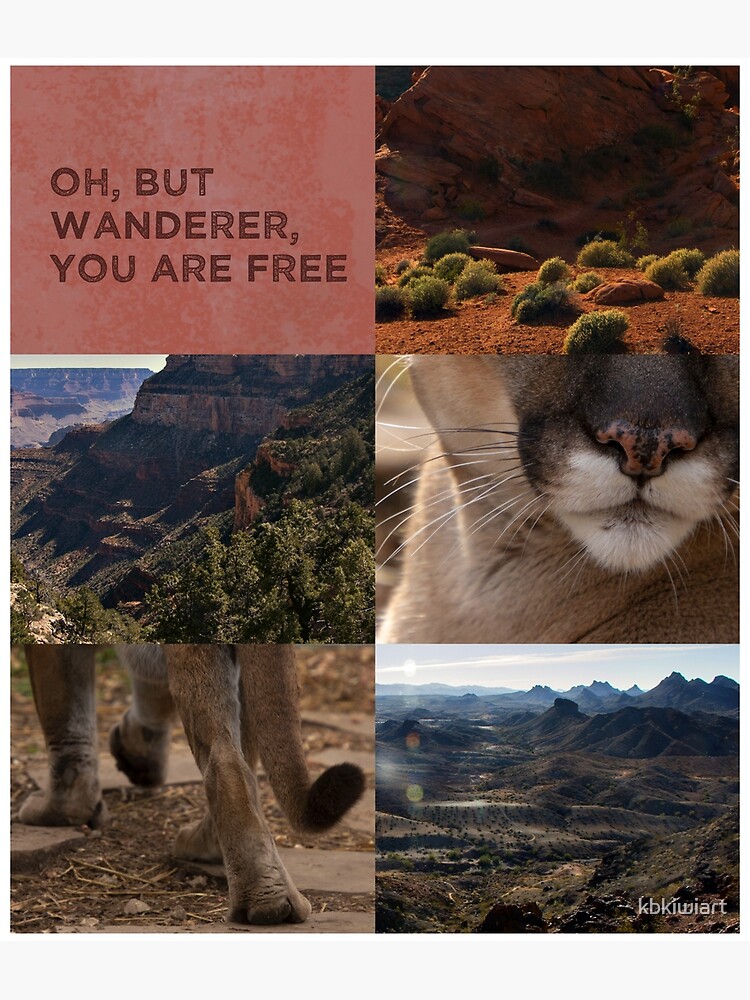 "Mountain Lion Wanderer - Mood Board" Poster for Sale by kbkiwiart ...