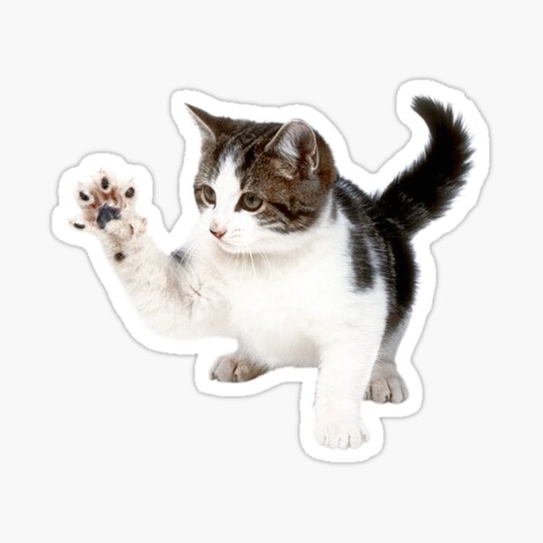 "Cute cat" Sticker for Sale by Remarquable | Redbubble