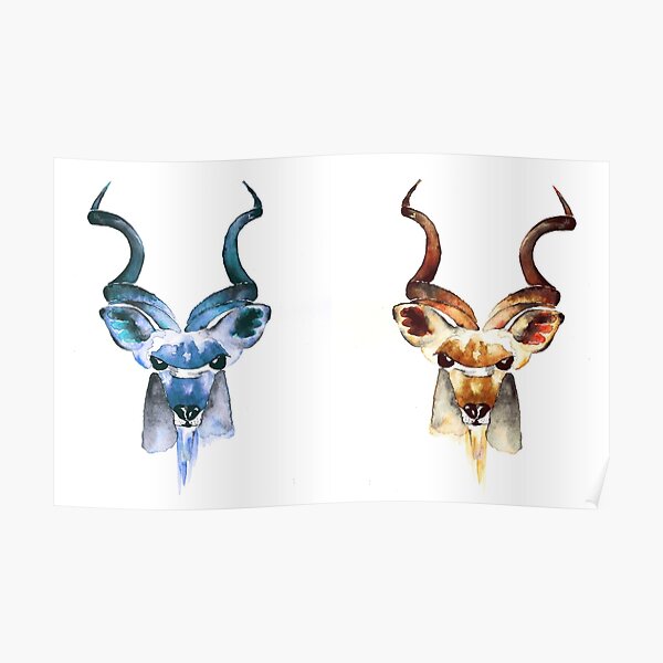 "Kudu" Poster for Sale by anahitapaints | Redbubble