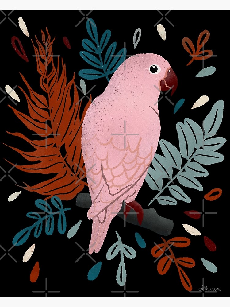 "Charcoal Black and Blush Pink Tropical Parrot" Poster for Sale by ...