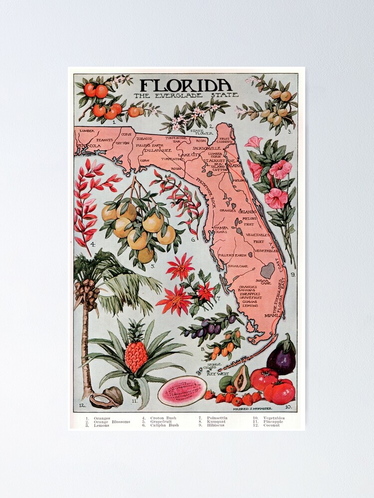 "Vintage Map of Florida" Poster by sunreyshine | Redbubble