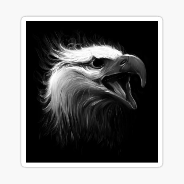 "Eagle Eye" Sticker by nicebleed | Redbubble