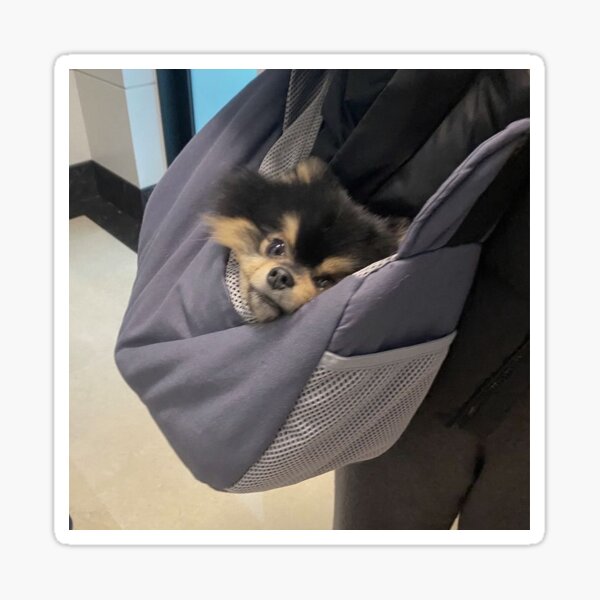 "yeontan merch" Sticker by soobinsboba | Redbubble