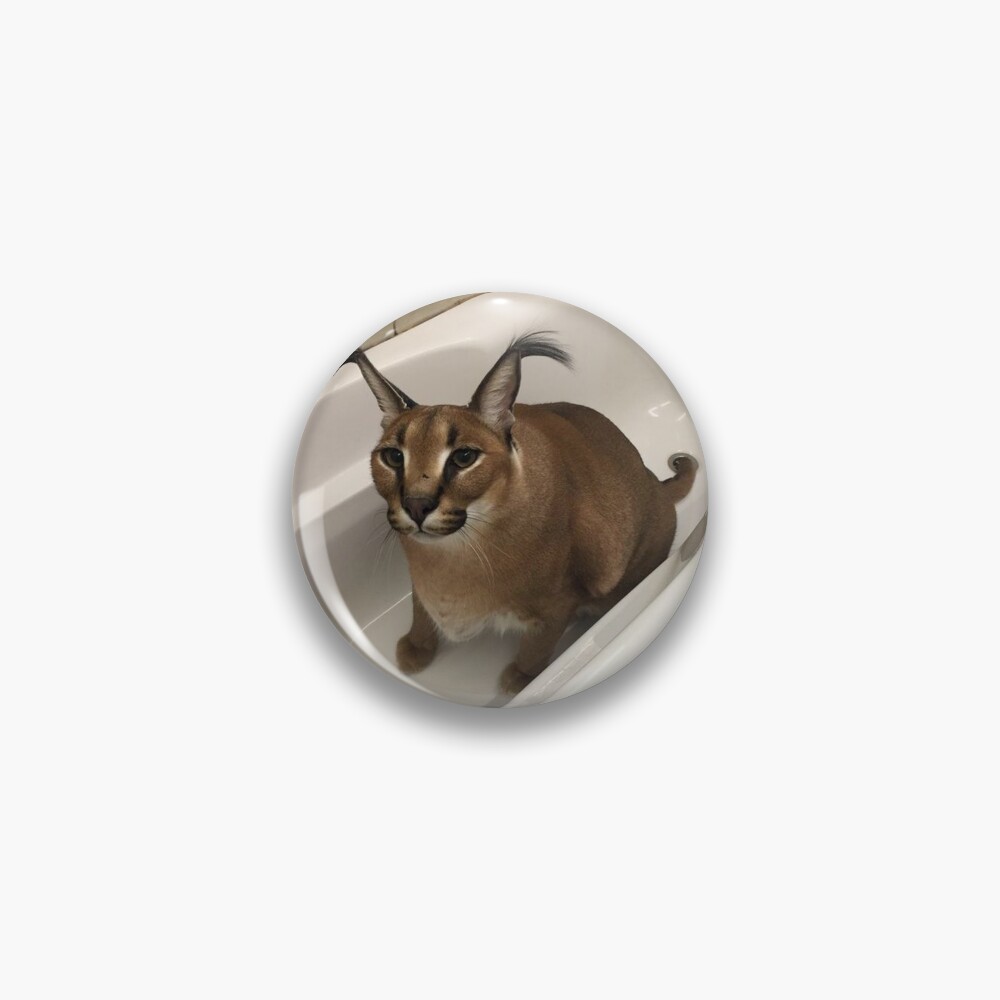 "Big floppa in the bathtub Meme" Pin for Sale by MattRuggz | Redbubble