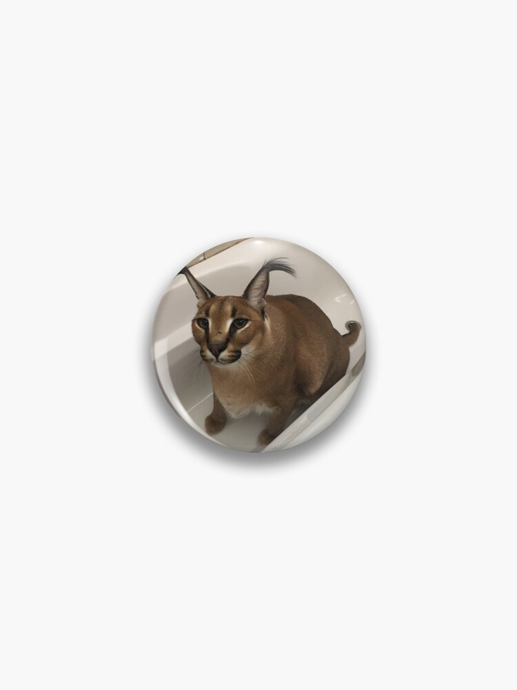 "Big floppa in the bathtub Meme" Pin for Sale by MattRuggz | Redbubble