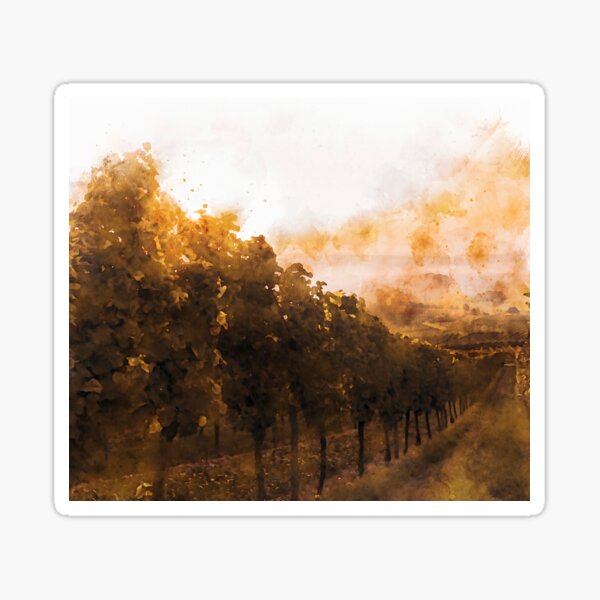 "Vineyards in Tuscany" Sticker for Sale by ErianAndre | Redbubble