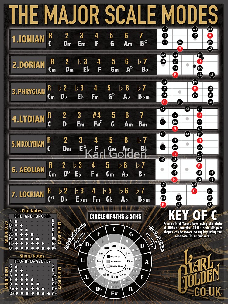 "Ultimate Major Scale Modal Bass Poster" Sticker for Sale by karlgolden ...