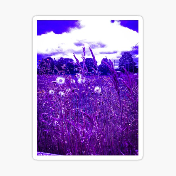 "Purple Atmosphere" Sticker for Sale by Miruna2902 | Redbubble