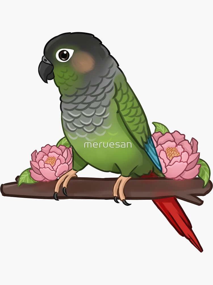 "Cute Conure" Sticker for Sale by meruesan | Redbubble