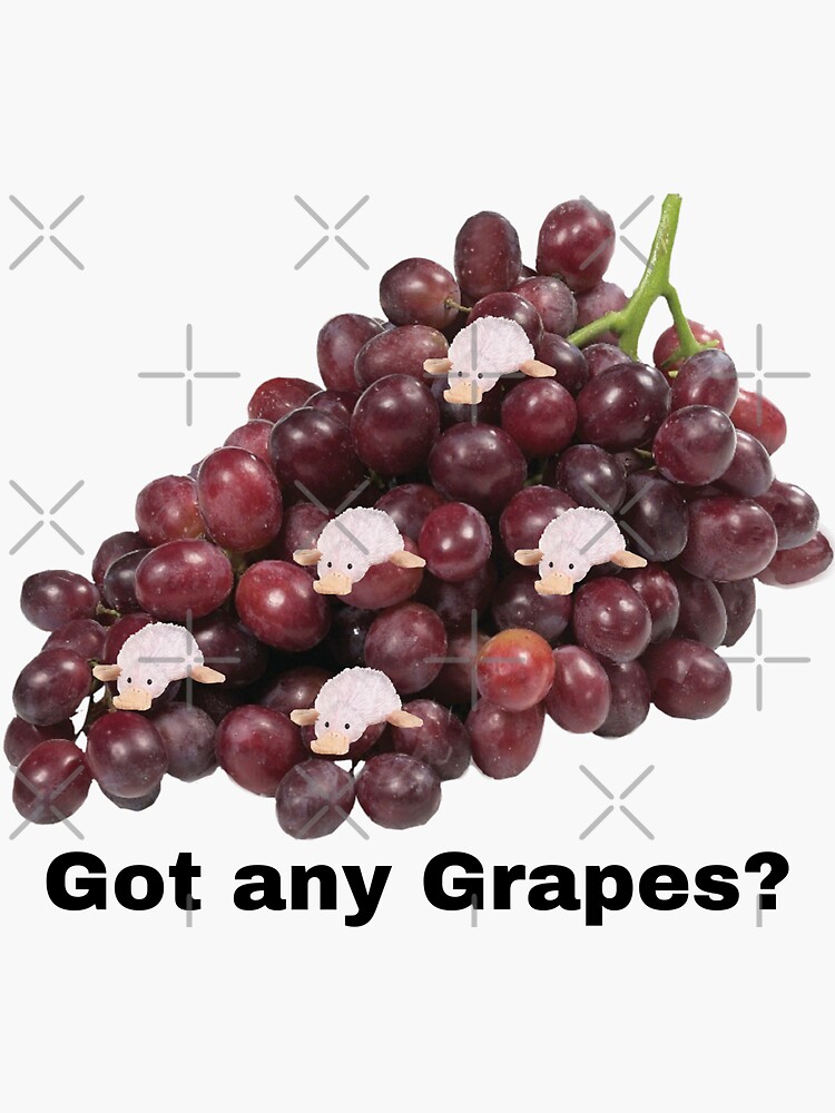 "Webkinz waddles googles got any grapes ducks meme " Sticker for Sale ...