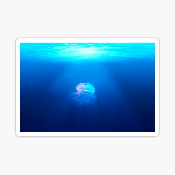 "Jellyfish, jellyfish, spongebob" Sticker for Sale by Nordwind | Redbubble