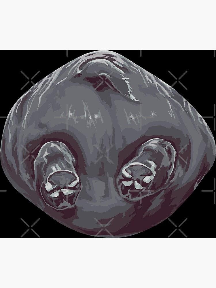 "Hippo butt, small print black edition" Poster for Sale by bye-then ...