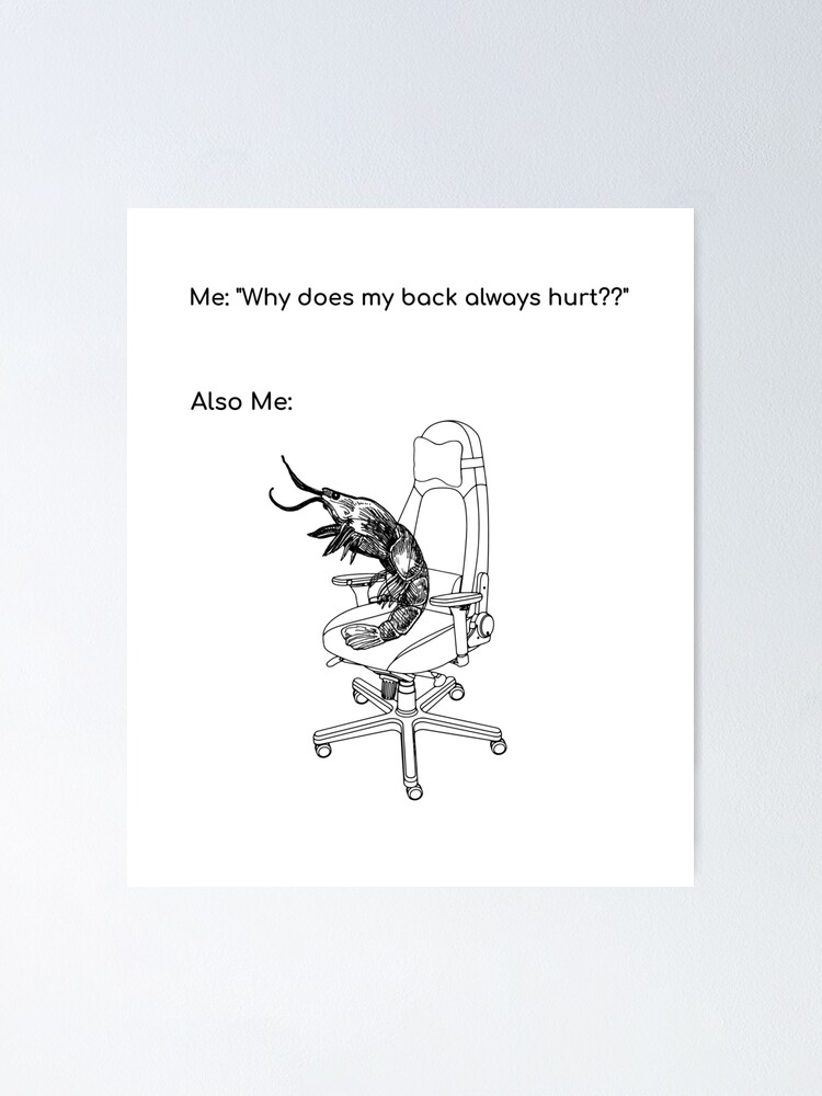 "Back pain meme" Poster by Tyler1993 | Redbubble