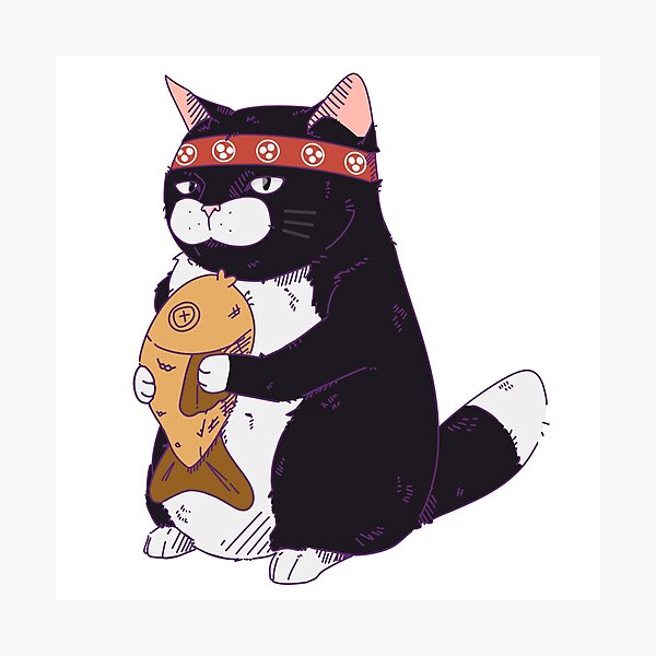 Lámina fotográfica «Gato Sushi, Gato Sushi con Pescado, Gato con ...
