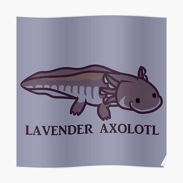 "Lavender axolotl" Poster by IMPULSEimpact | Redbubble