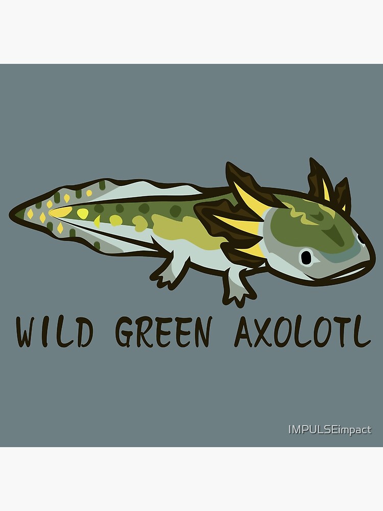 "wild green axolotl" Poster for Sale by IMPULSEimpact | Redbubble