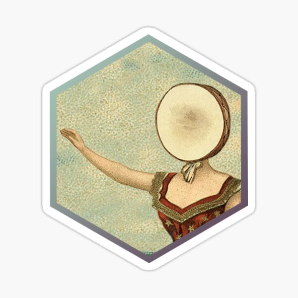 "Neutral Milk Hotel Hexagon" Sticker for Sale by JFKsStickers | Redbubble