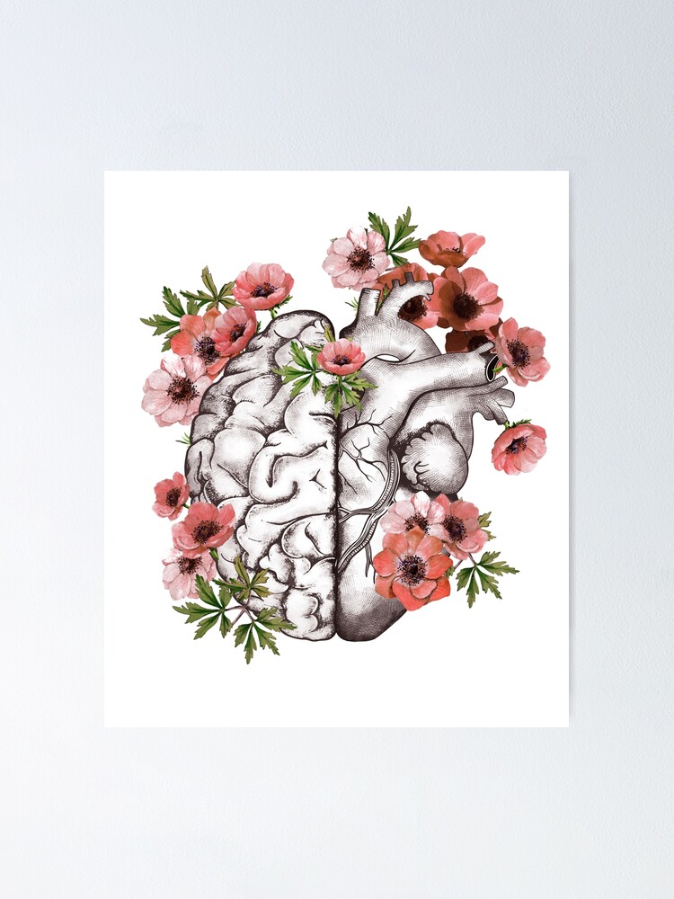 Póster «Medio corazón y cerebro, equilibrio correcto entre cabeza o ...