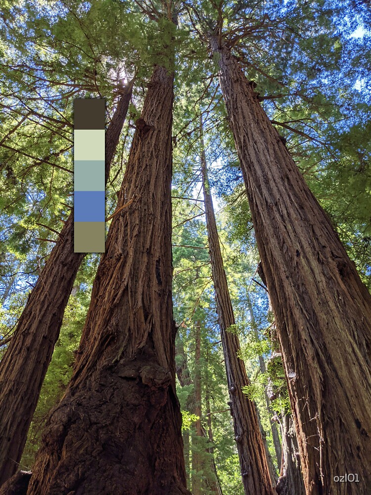"Redwood Forest Natural Color Palette" Sticker for Sale by ozl01 ...