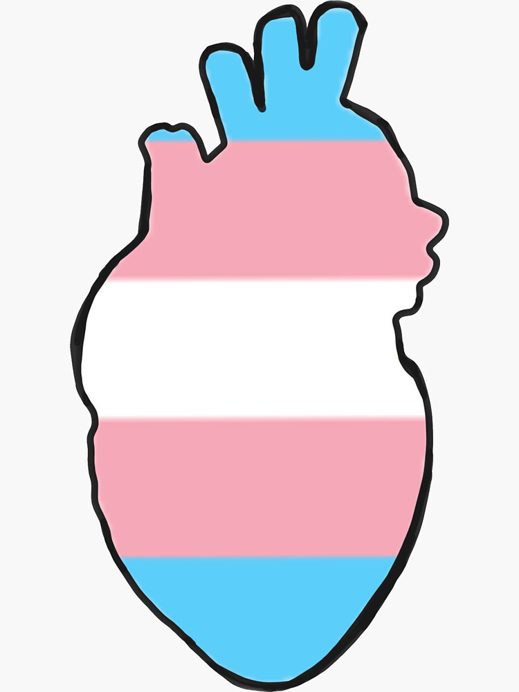 "Pride heart trans" Sticker by Drowningwoodfae | Redbubble