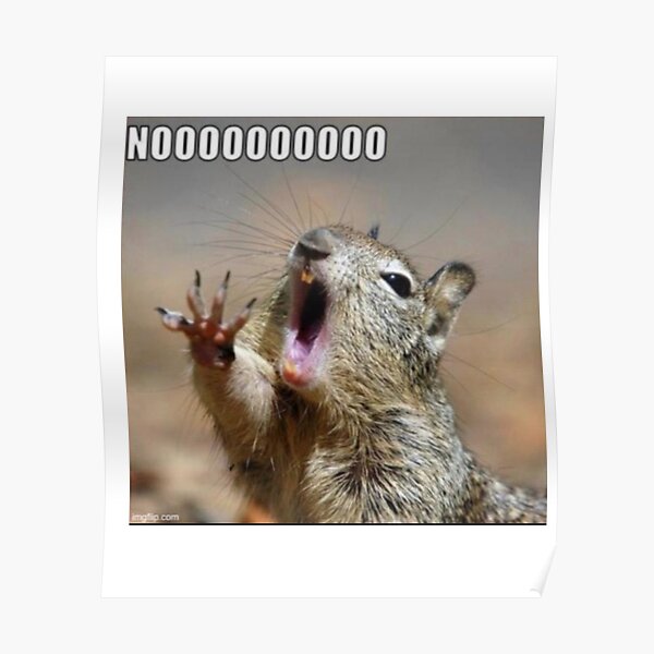 Póster «Ardilla llorando no meme» de DontLaughSwim | Redbubble