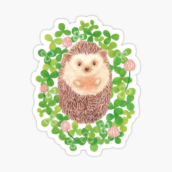 "Hedgehog in cloverfield on terracotta pink background" Sticker for ...