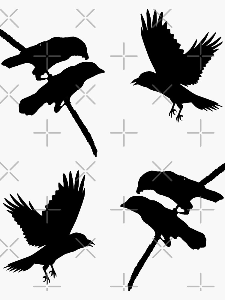 "Counting Crows" Sticker for Sale by INAYAART | Redbubble