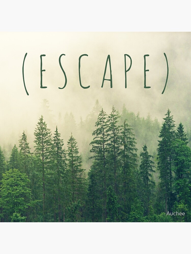 "escape art" Poster for Sale by Auchee | Redbubble