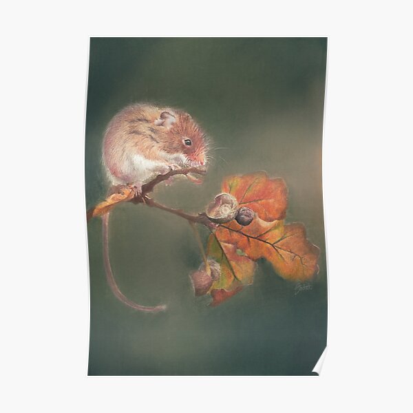 "The Mouse Found a Nut - Reference Paul Fine" Poster for Sale by ...