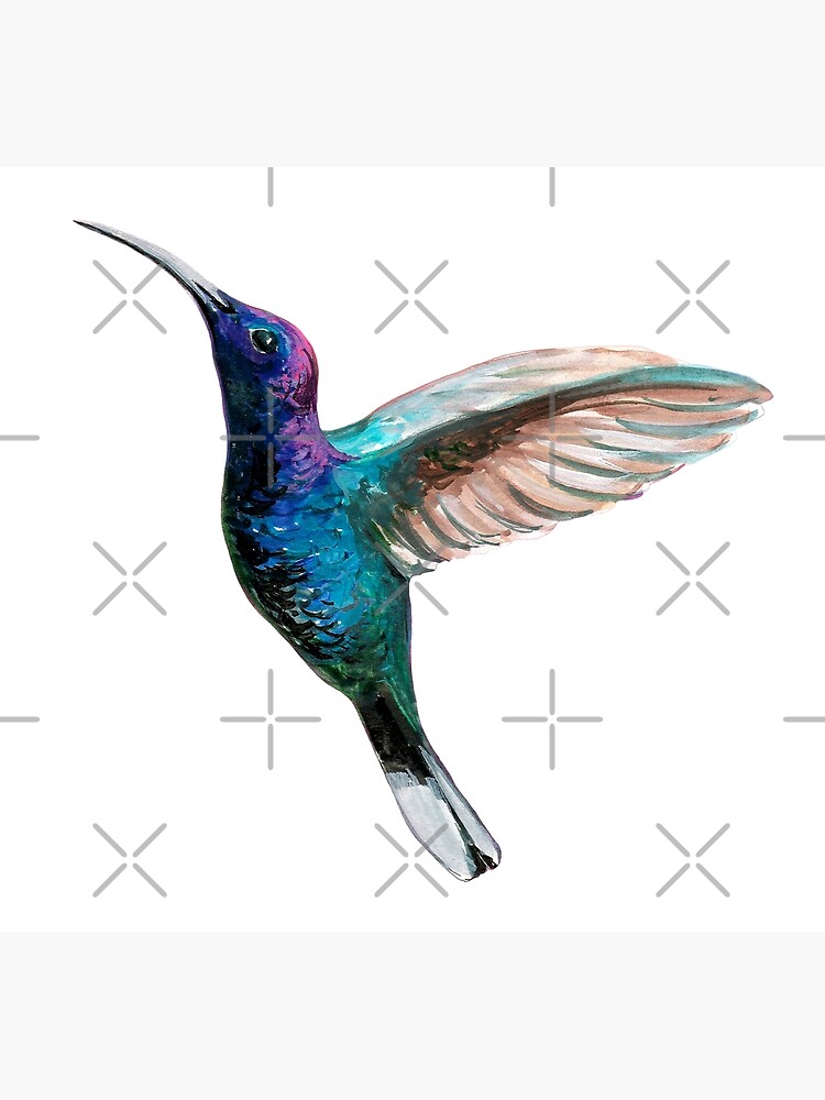 Lámina fotográfica «Colibrí volando. Colibrí tropical, azul, verde ...