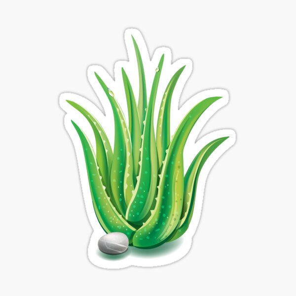 "Aloe Vera" Sticker by Smaragdas | Redbubble