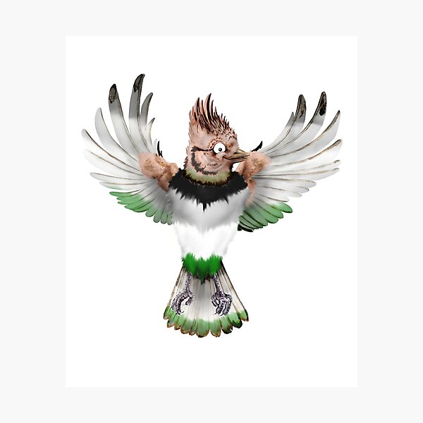 Lámina fotográfica «^ Bandera del orgullo de la androfilia | Pájaro de ...