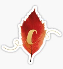 Letter C: Stickers | Redbubble