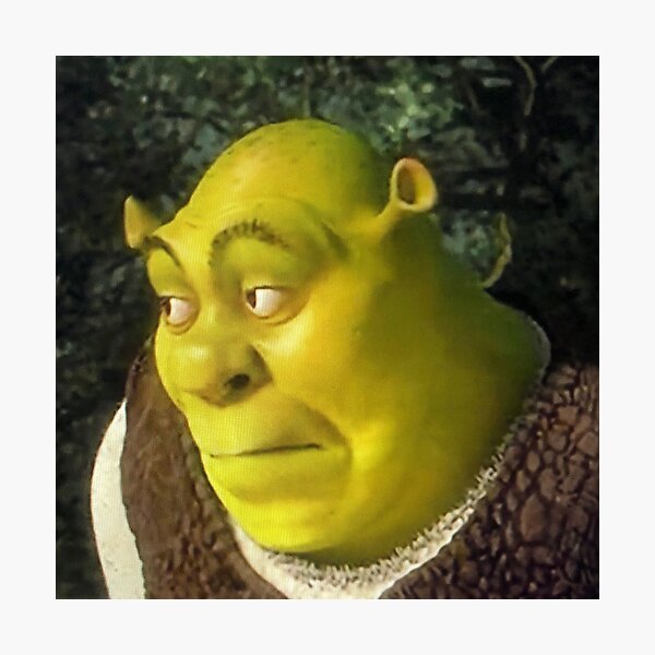 "Shrek Face Meme" Photographic Print for Sale by mylifeasgaia | Redbubble