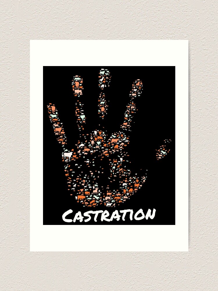 "Stop Beef Cattle Castration" Art Print by ctaylorscs | Redbubble