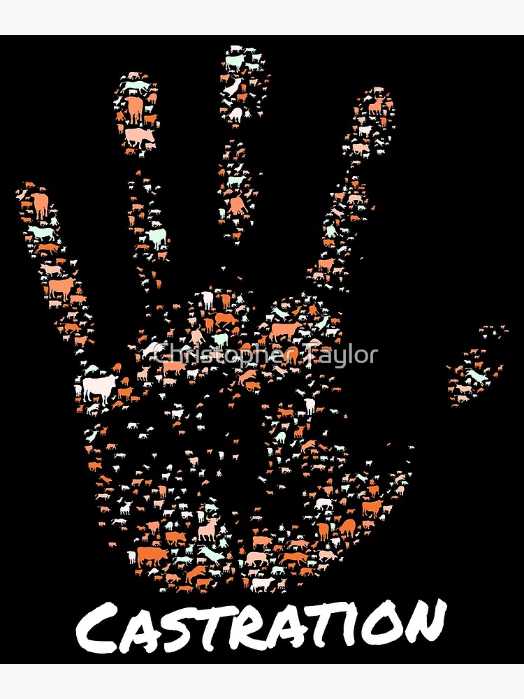 "Stop Beef Cattle Castration" Art Print by ctaylorscs | Redbubble