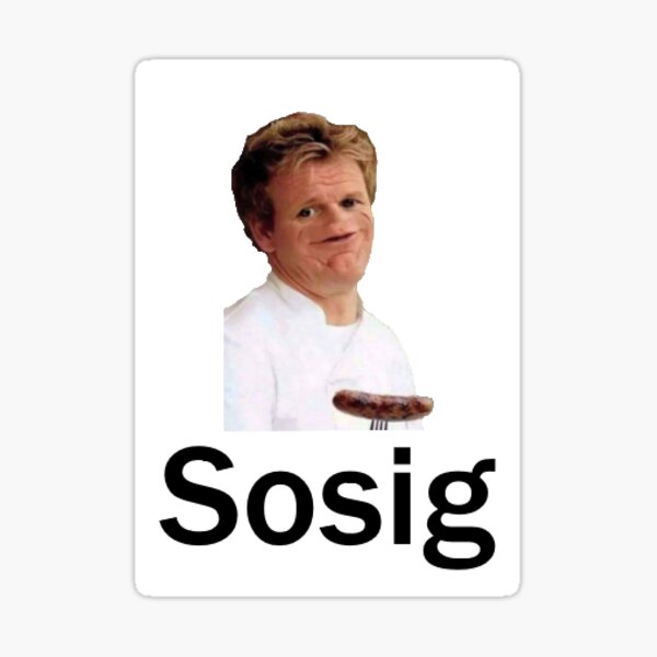 Sosig Gifts & Merchandise | Redbubble