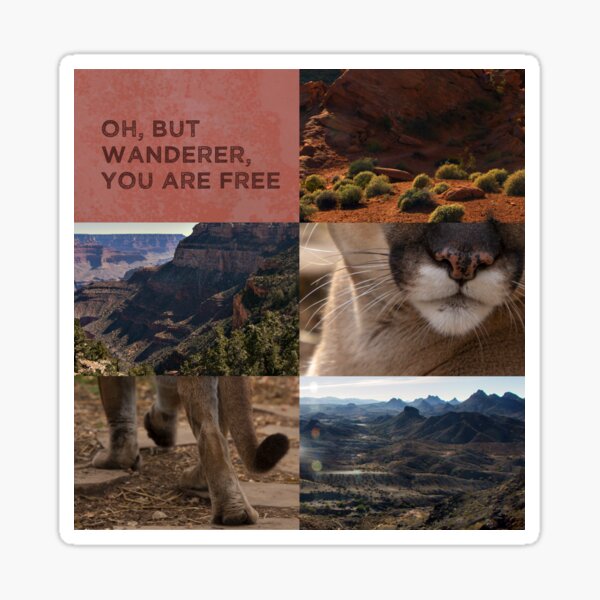 "Mountain Lion Wanderer - Mood Board" Sticker for Sale by kbkiwiart ...