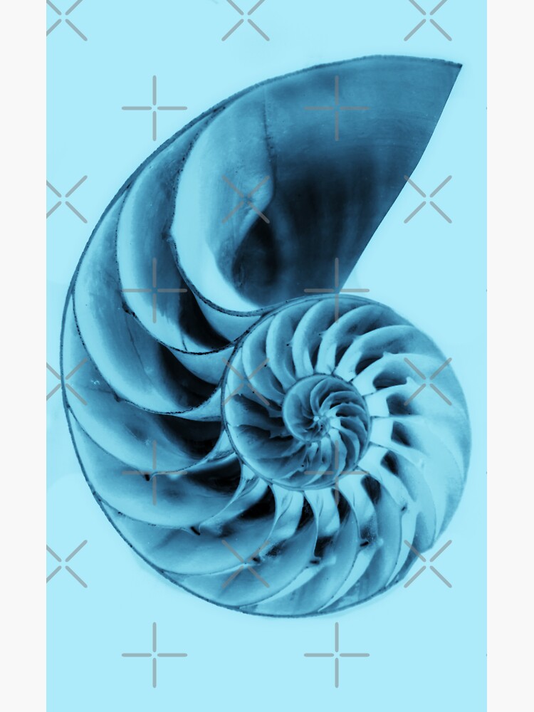 "Light Blue X-Ray Nautilus Shell Cute Gift" Sticker for Sale by ...