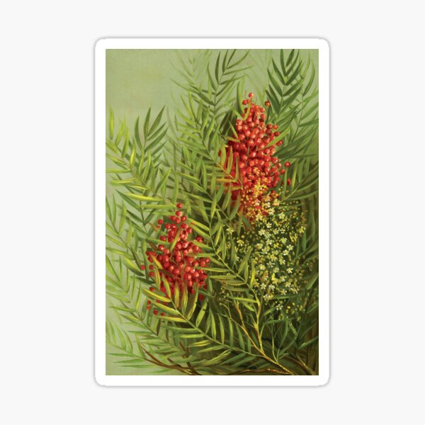 "Botanical Green leaves and red berries | Mountain-ashes " Sticker for ...