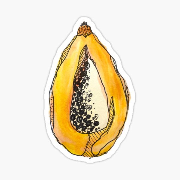 "Papaya " Sticker for Sale by sydneymcc | Redbubble