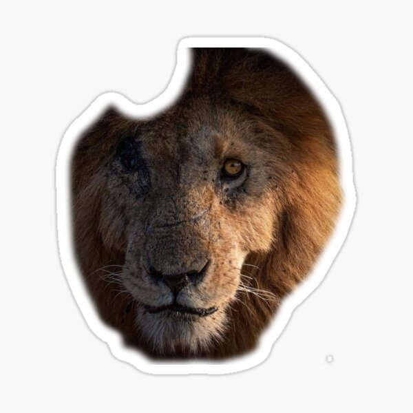 "The Scar Face" Sticker for Sale by KHOS | Redbubble