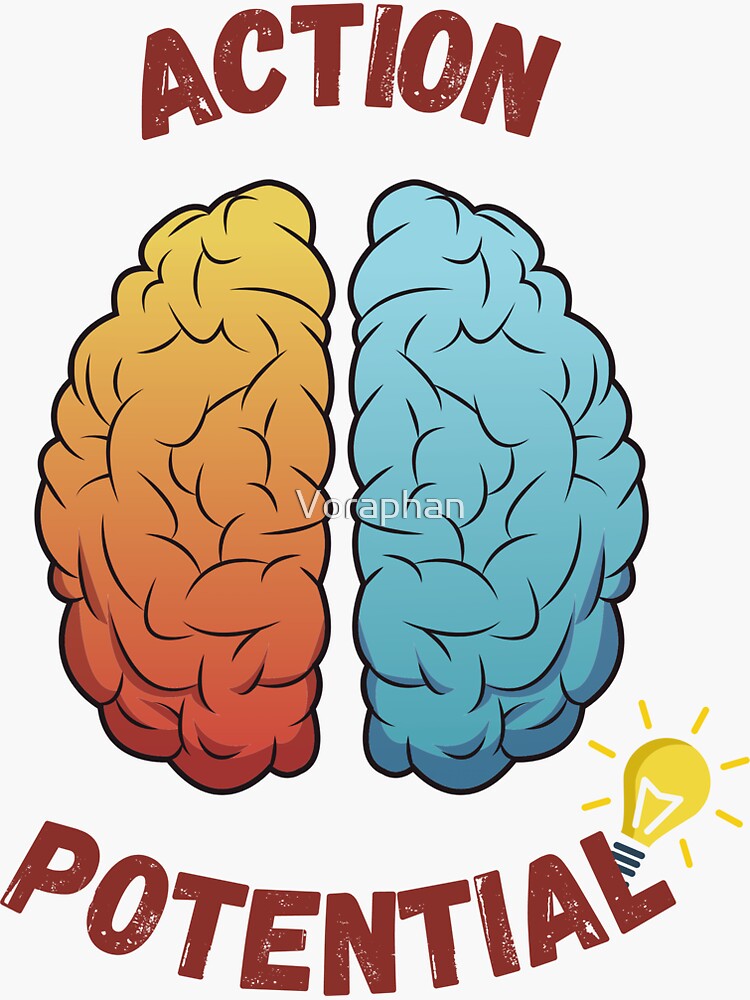"Action potential" Sticker for Sale by Voraphan | Redbubble